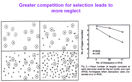 Eye-Search - UCL's free therapy for visual search problems